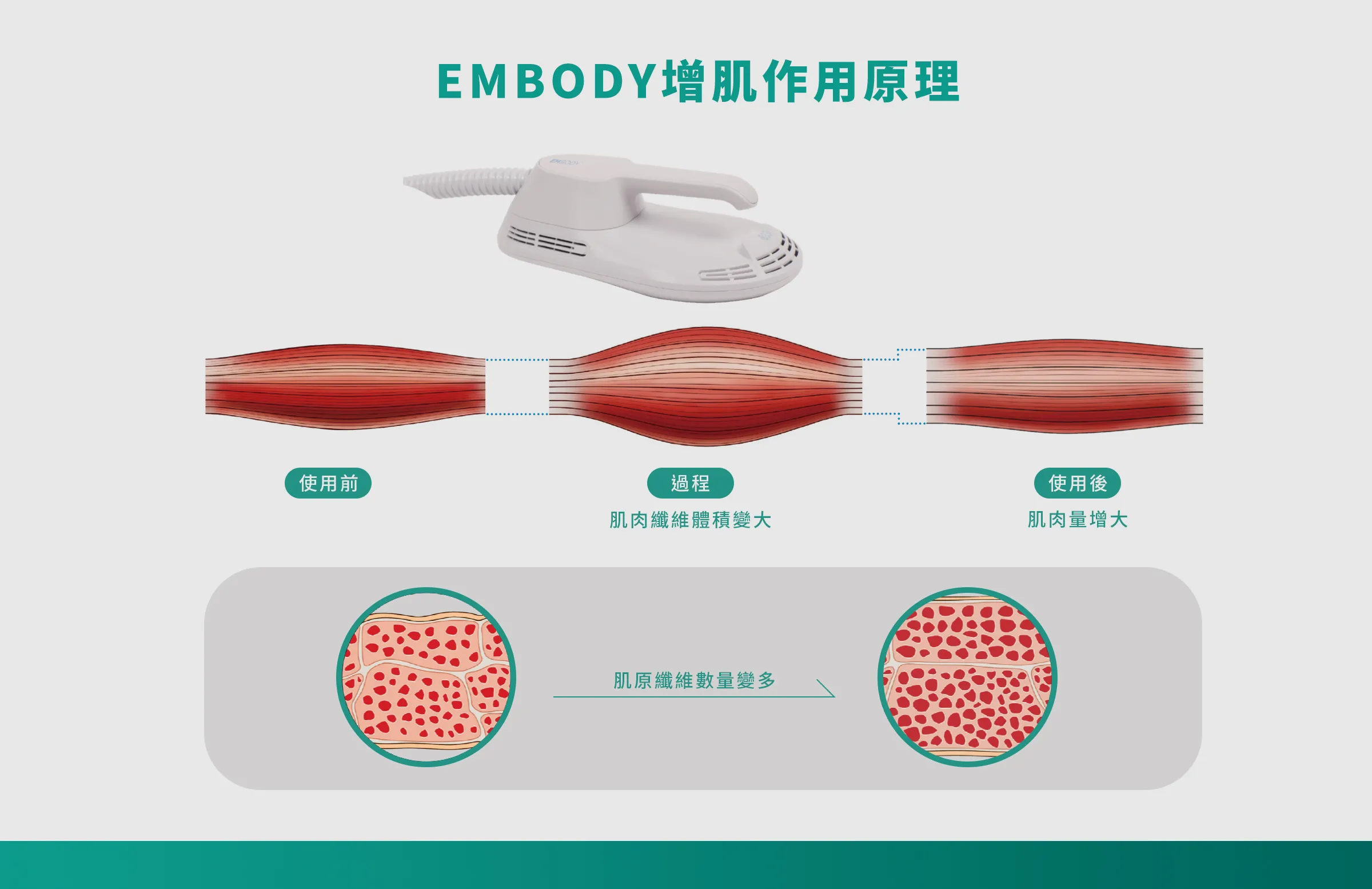 Embody 核心美力 - 璞之妍診所